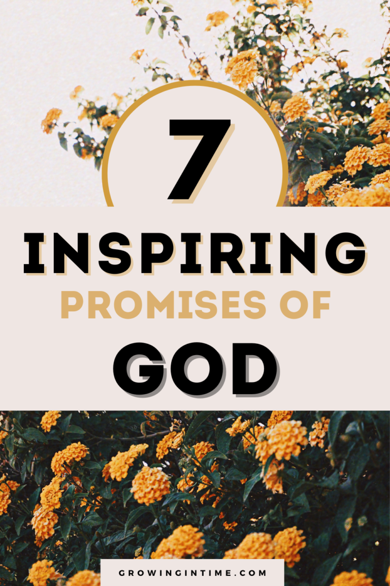 7 Beautiful Promises Of God - Growing in Time
