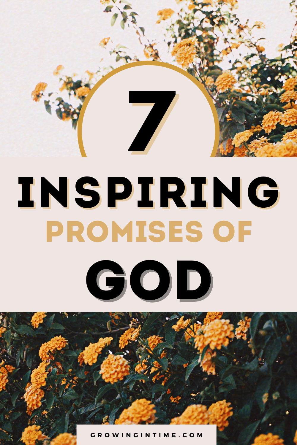 7 Beautiful Promises Of God - Growing in Time