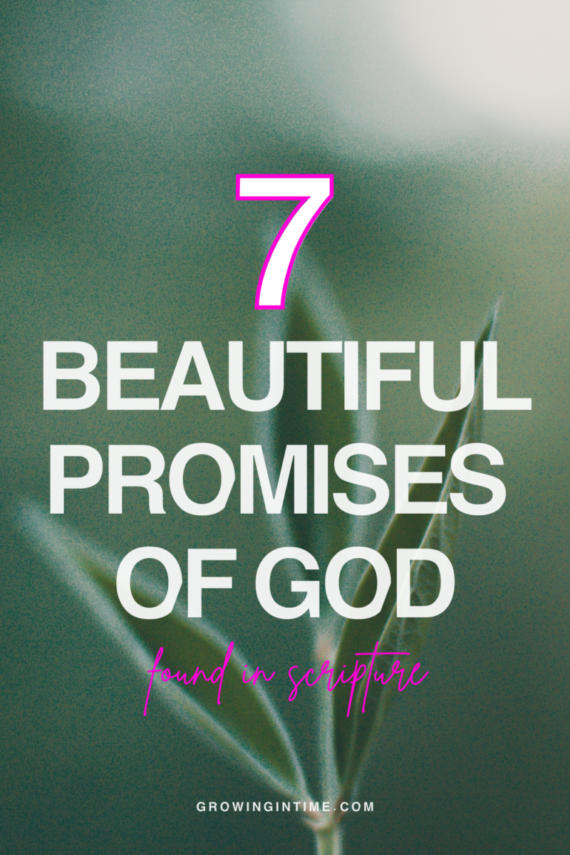 7 Beautiful Promises Of God - Growing in Time