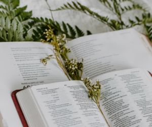 How Many Chapters & Verses Are In Every Book Of The Bible - Growing in Time