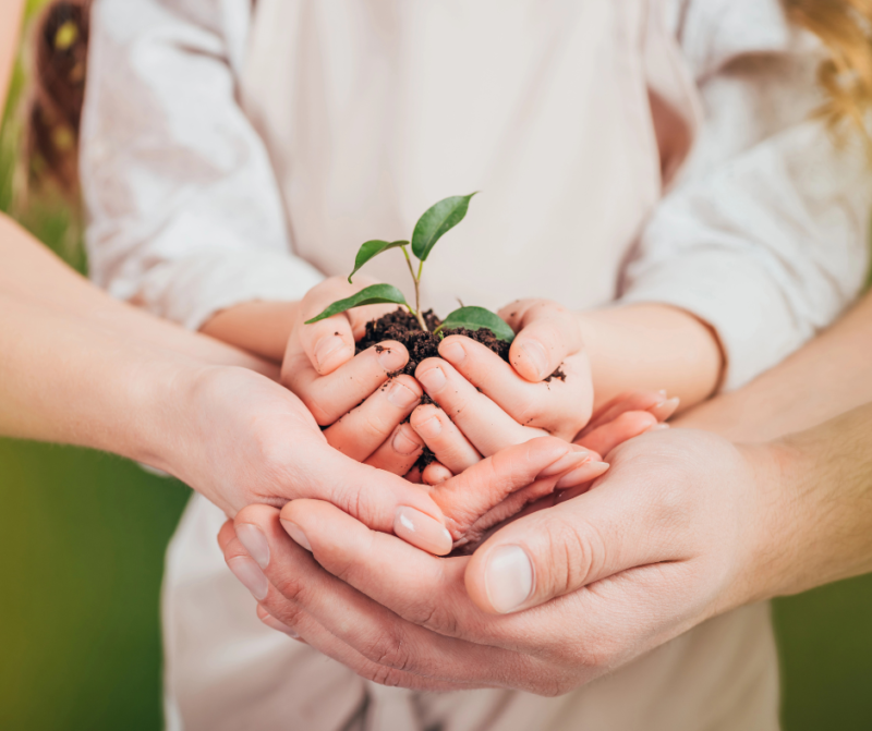 How to be a Good Steward: 10 Ways to Care for the Resources He’s ...